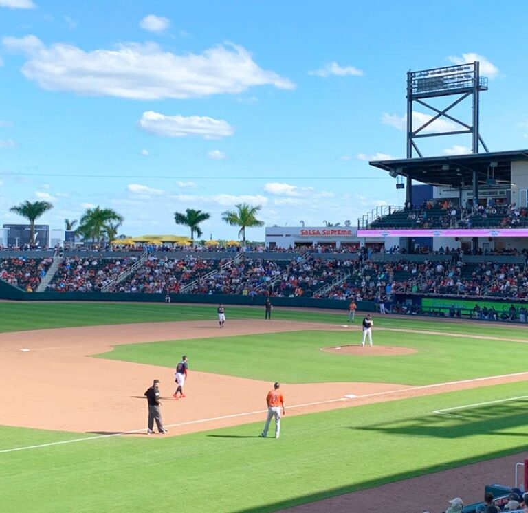 Brightmore at Wellen Park - Brightmore | Wellen Park